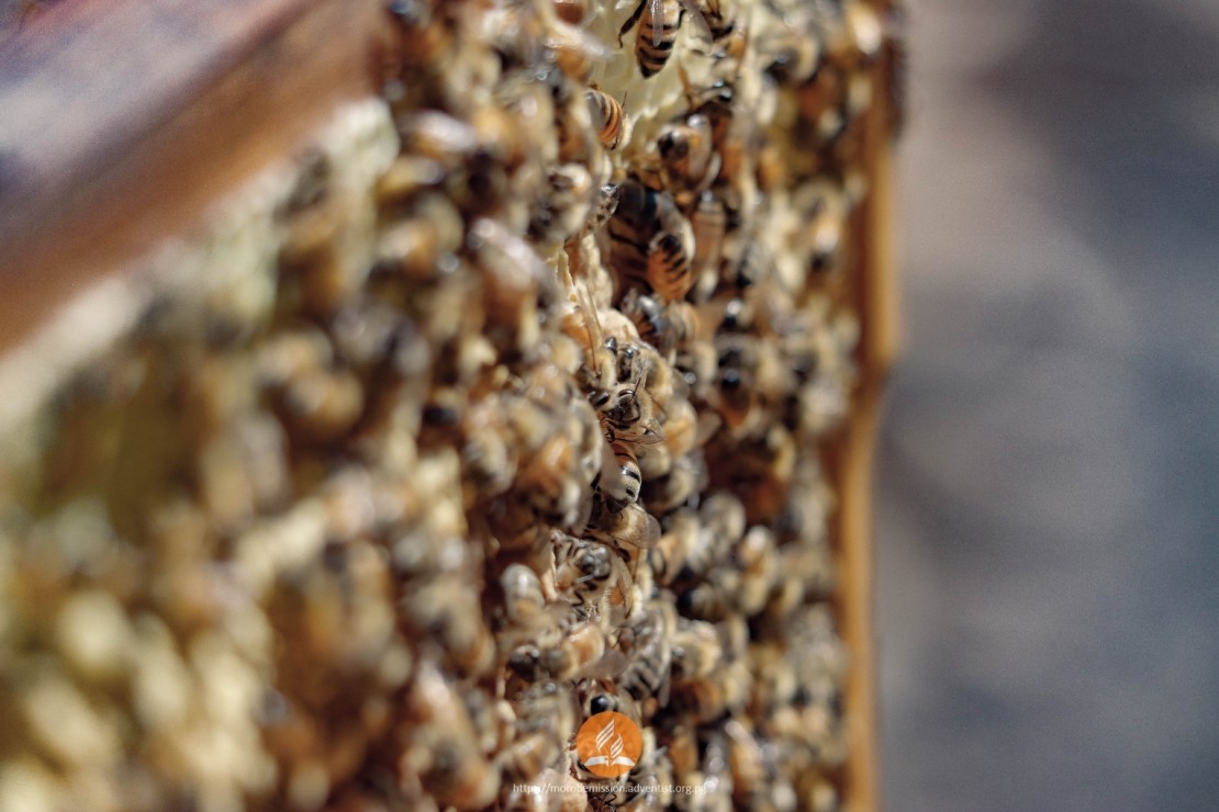 Day 1: Life Skills Training - Morobe Mission Headquarters