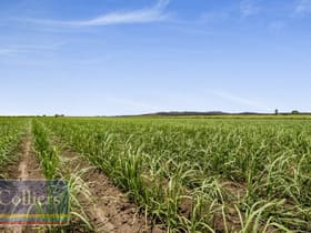 190 Rural & Farming Properties For Sale in Mackay, QLD 4740