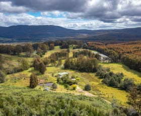 195 Rural & Farming Properties For Sale in TAS