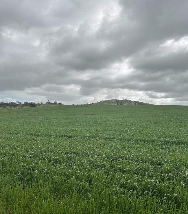 Rural & Farming Property For Sale in Lot 65 Forrester Road, Mount Erin ...