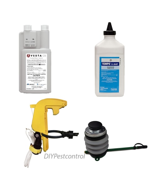 How To Get Rid Of Carpenter Bees | Do-It-Yourself Pest Control