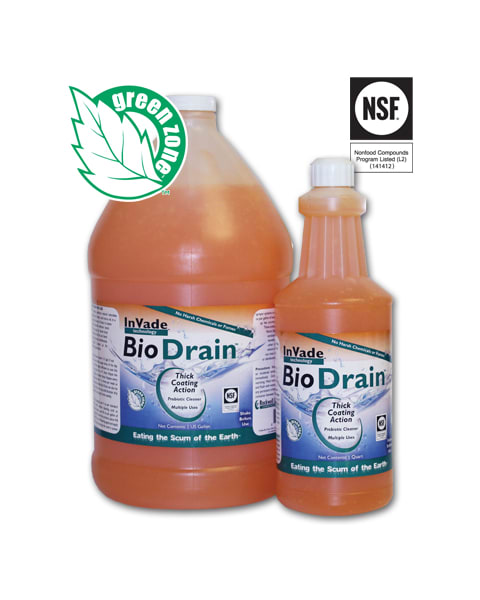 How To Get Rid of Drain Flies | Do-It-Yourself Pest Control