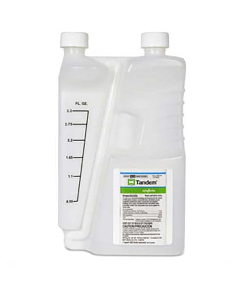 How To Get Rid of Powderpost Beetles | Do-It-Yourself Pest Control