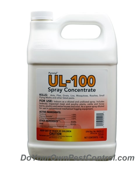 How To Get Rid Of House Flies | Do-It-Yourself Pest Control