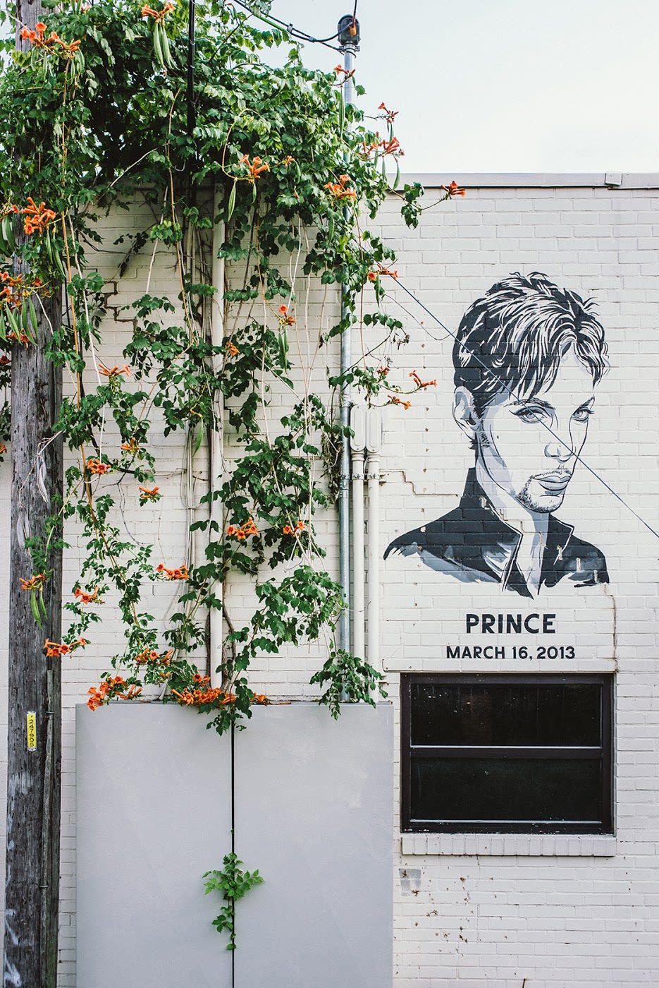 La Zona Rosa Is Back, Baby!