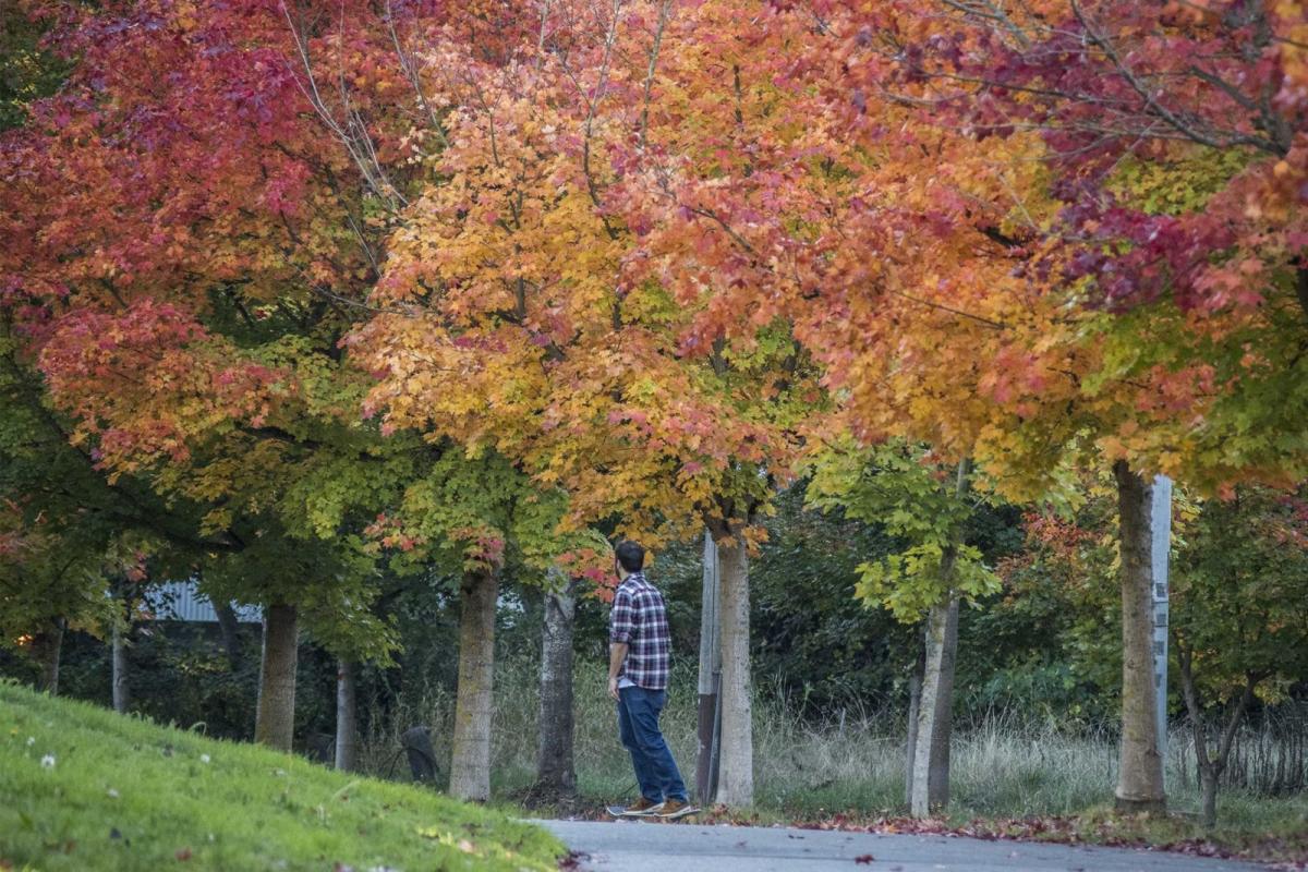 Your Guide To Fall In Seattle