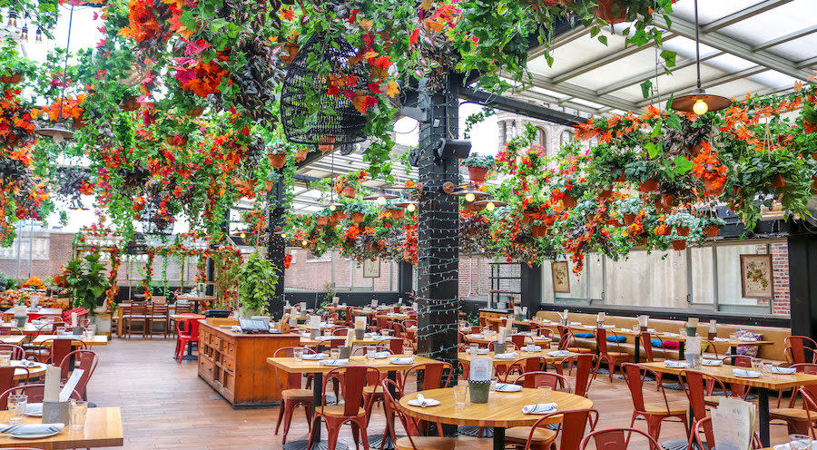 Eataly's Rooftop is Ready For Fall