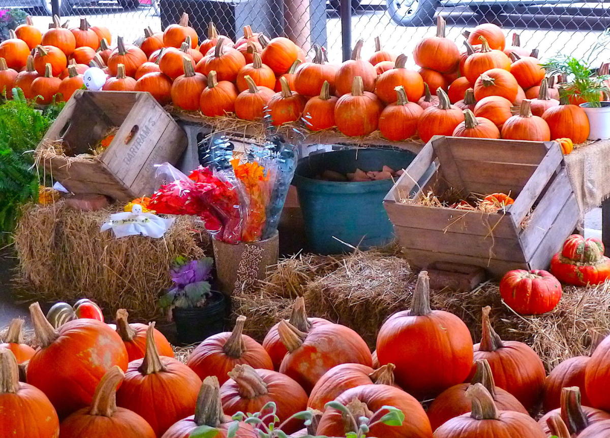 Best Food Fairs and Festivals This Fall
