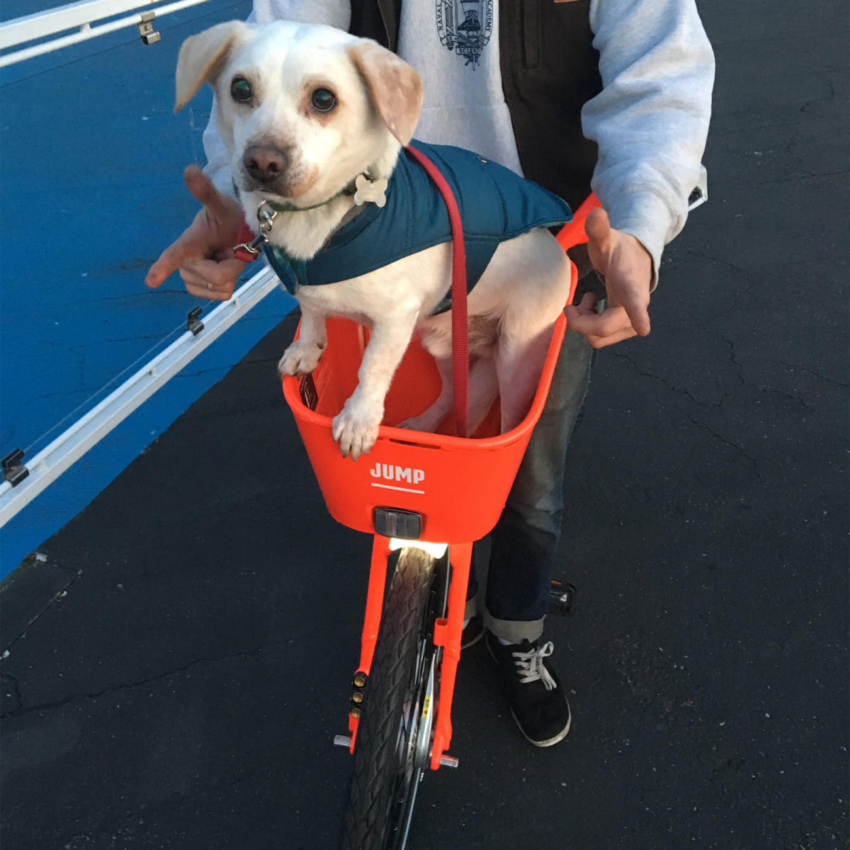 Uber's JUMP Bikes Have Arrived In Seattle