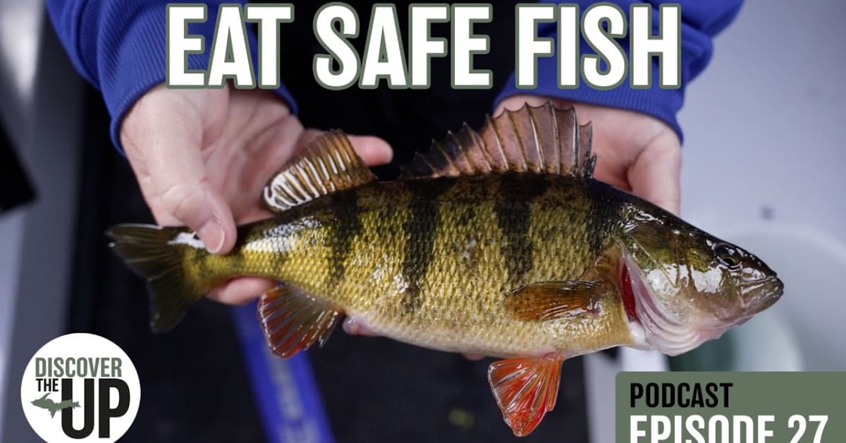 Eat Safe Fish - Full Interview | Discover the U.P.
