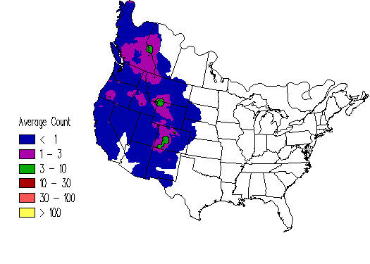 American Dipper - eBirdr