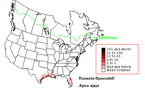 Roseate Spoonbill - eBirdr