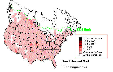 Great Horned Owl - eBirdr