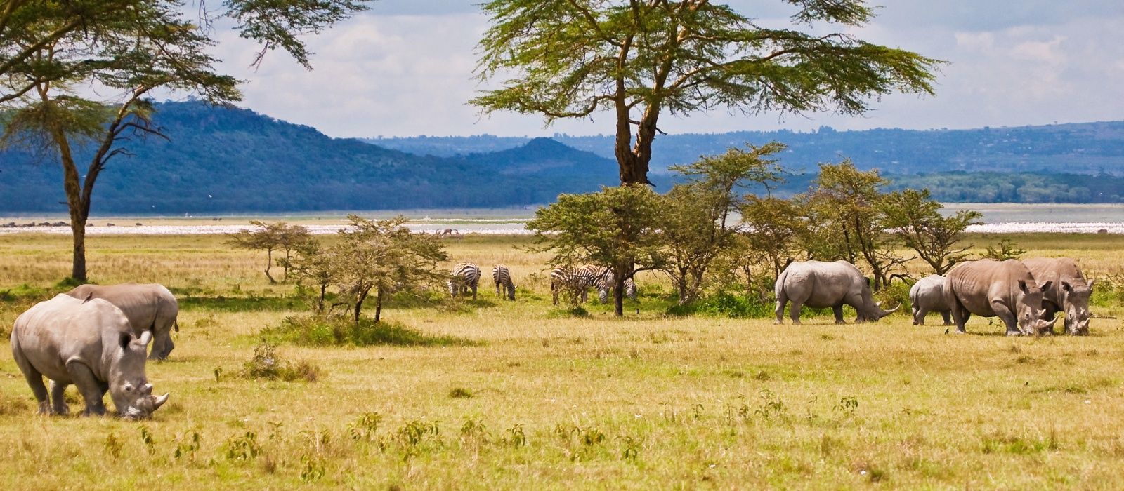 Exclusive Travel Tips for Your Destination Lake Baringo in Kenya