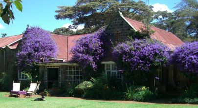 Travel Blog | Enchanting Travels