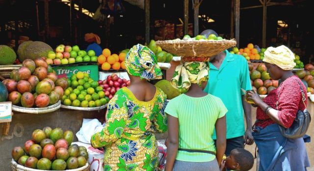 Rwanda Gorillas | Discover a Natural Paradise with Enchanting Travels