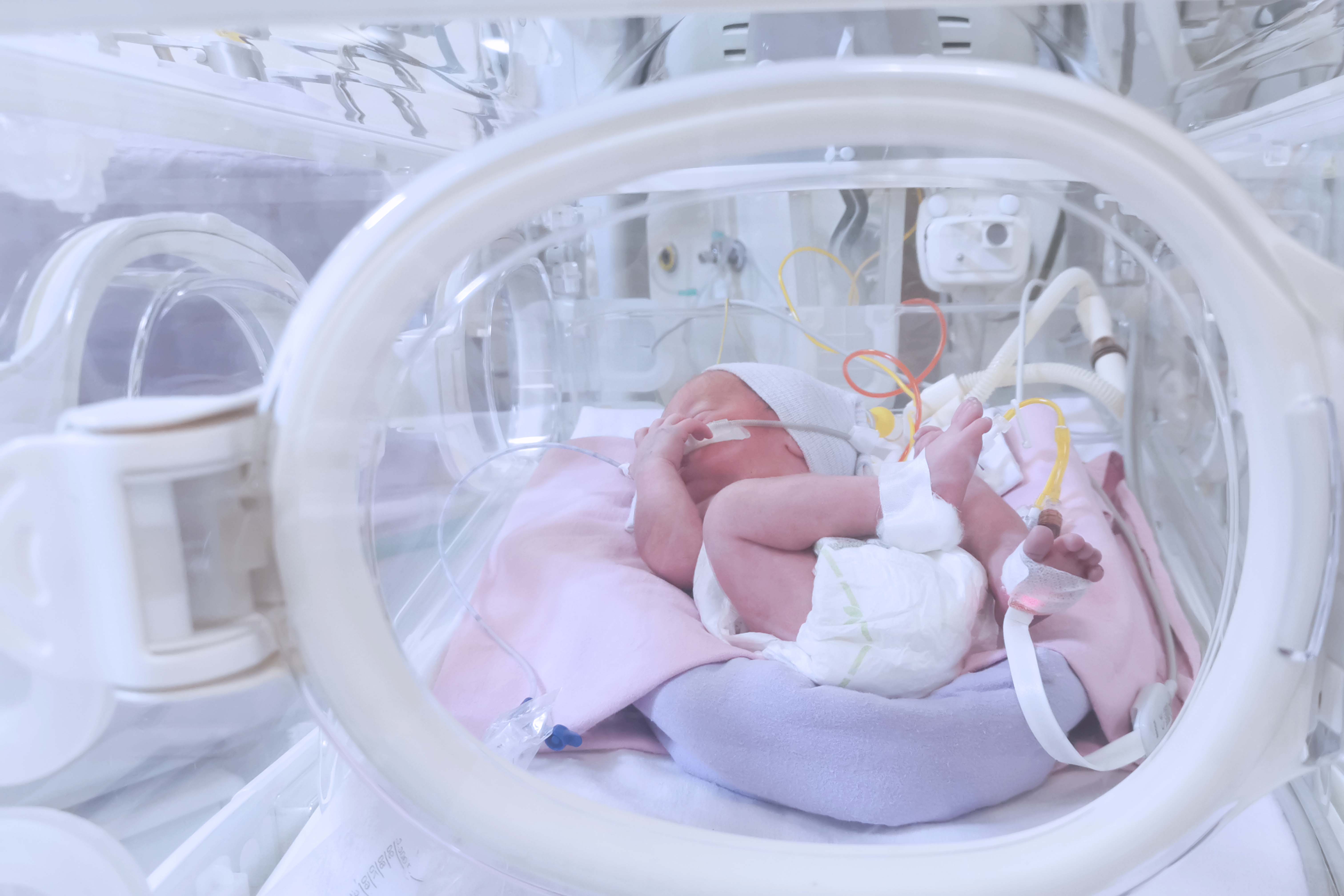 Research highlights rewarming stage of cooling therapy for brain ...