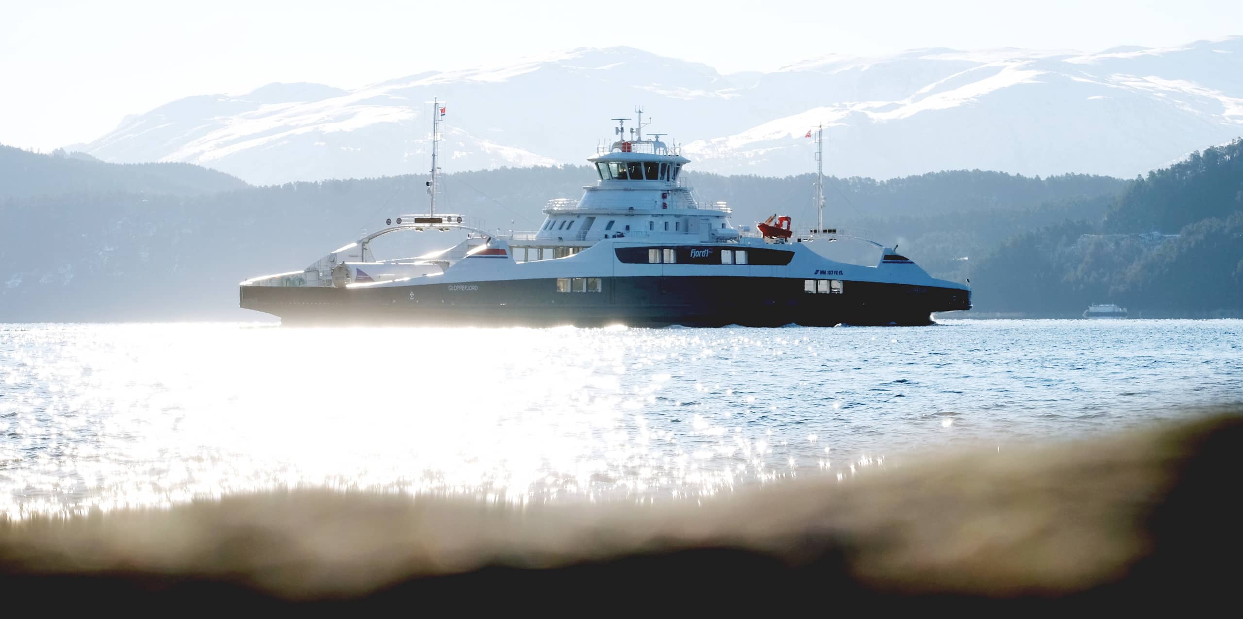 read more about Fjord1