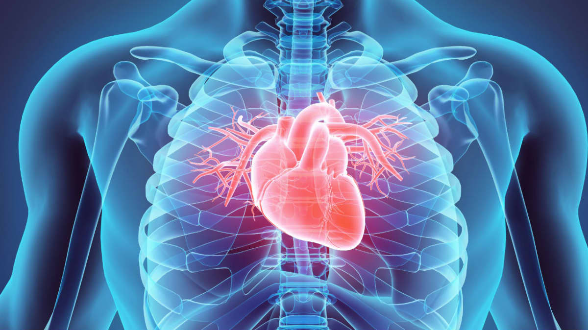 Kronično srčano zatajenje - JGL