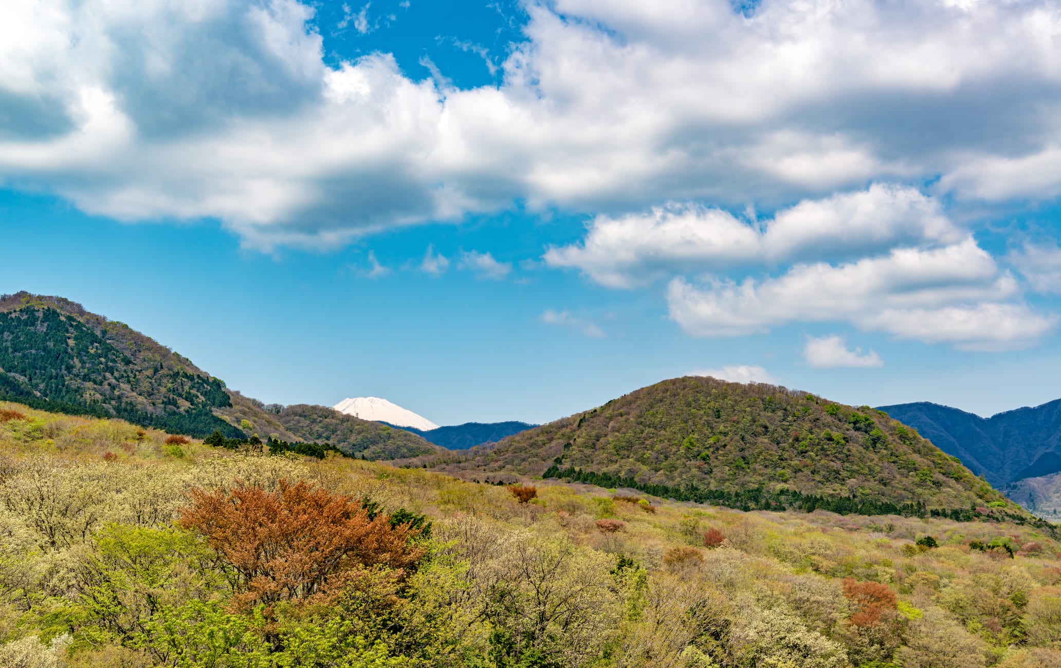 Gora | Travel Japan (Japan National Tourism Organization)