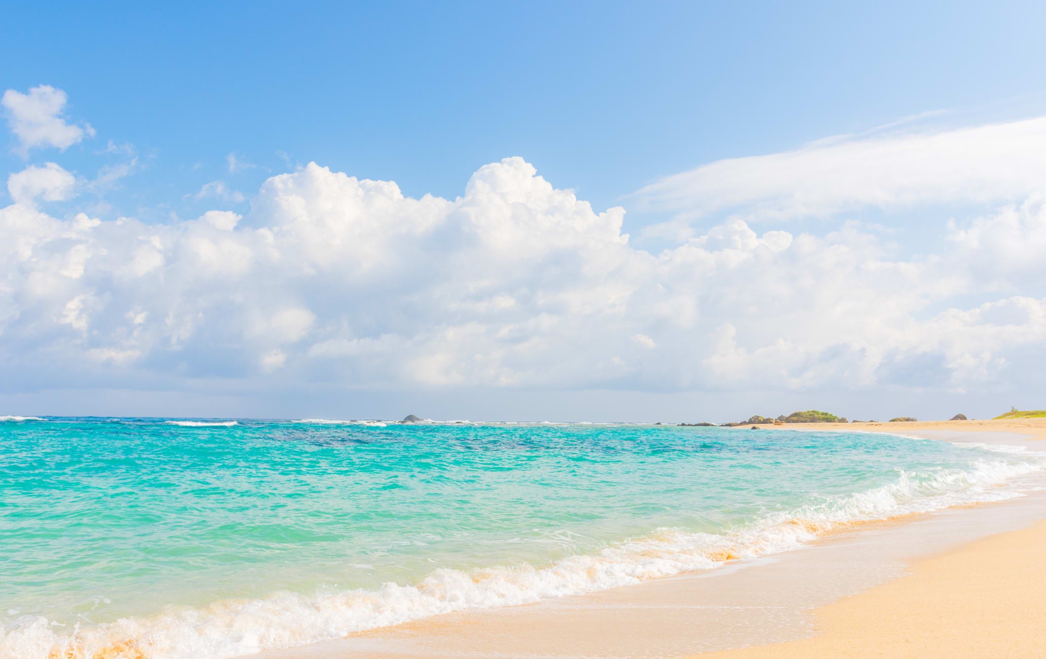 Amami Oshima | Travel Japan (Japan National Tourism Organization)