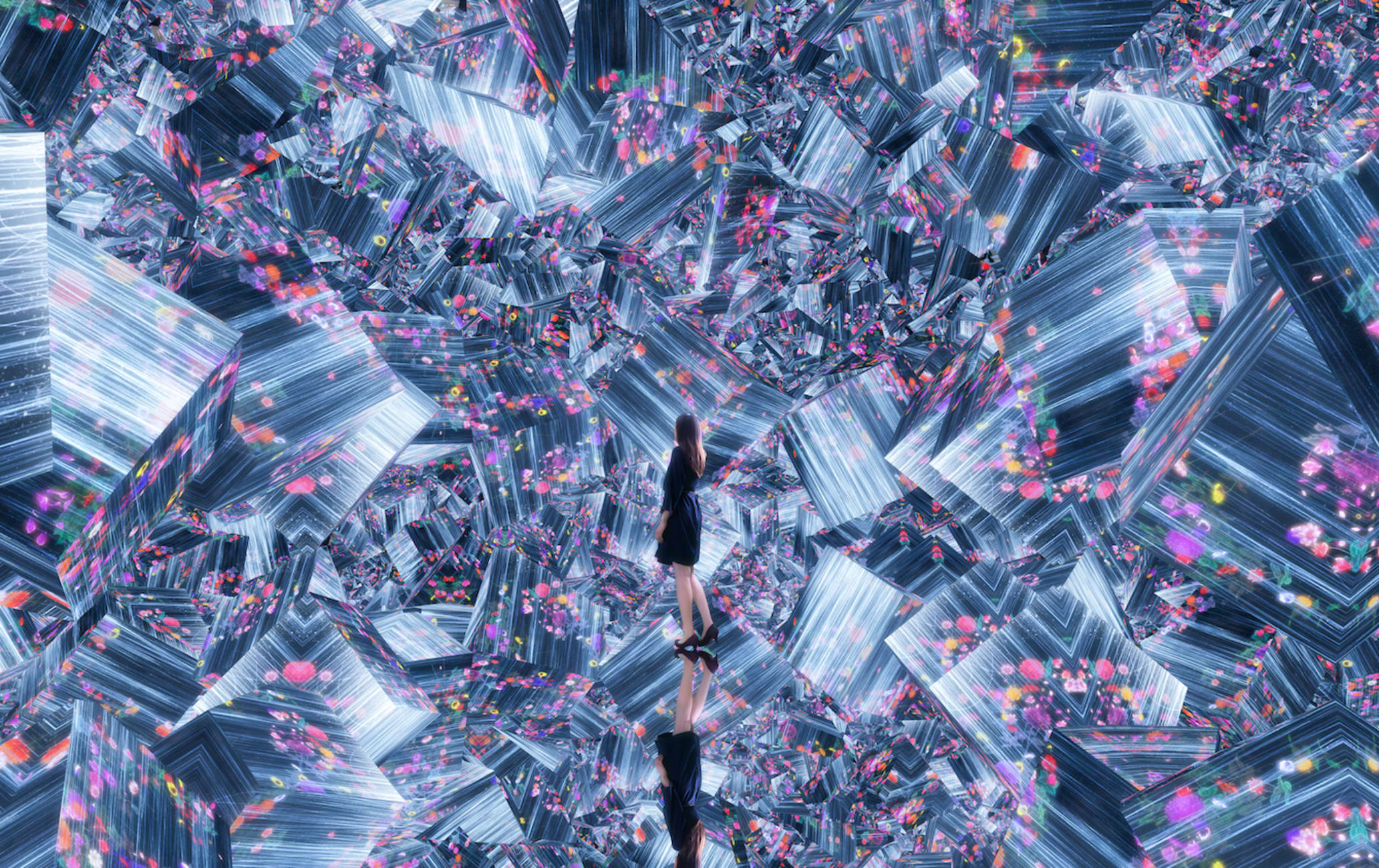 teamLab | Travel Japan - Japan National Tourism Organization (Official ...