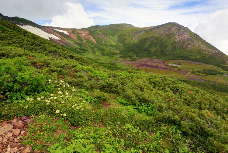 Mt. Mitake | Tokyo Attractions | Travel Japan | JNTO