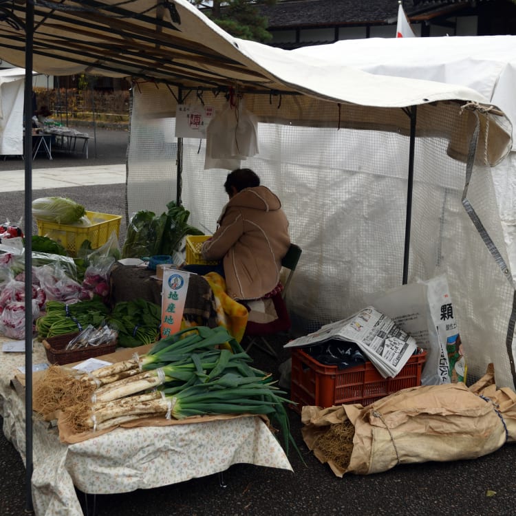 Morning Markets in Japan | Story | Travel Japan (Japan National Tourism ...