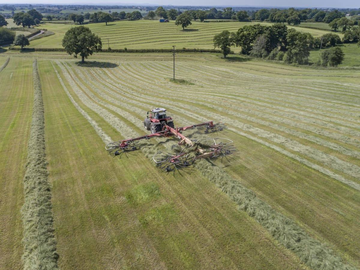 Vicon Four Rotor Rakes