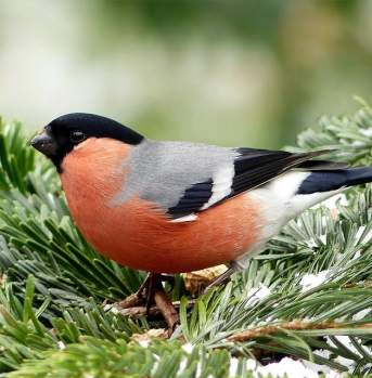 Trondheim - Offisiell reiseguide til Norge - visitnorway.no