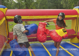USA Boxing Ring Rentals | Sky High Party Rentals