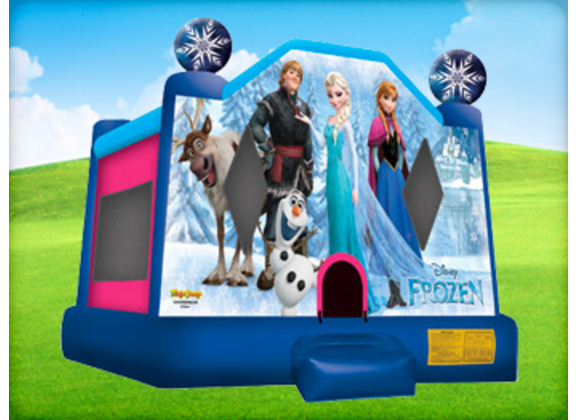 Houston, TX Frozen Inflatable Slide | Sky High Party Rentals